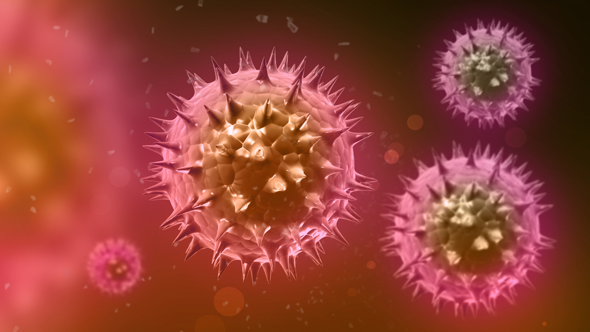 Studie: So viele Coronaviren befinden sich in der Vagina Studie: So viele Coronaviren befinden sich in der Vagina